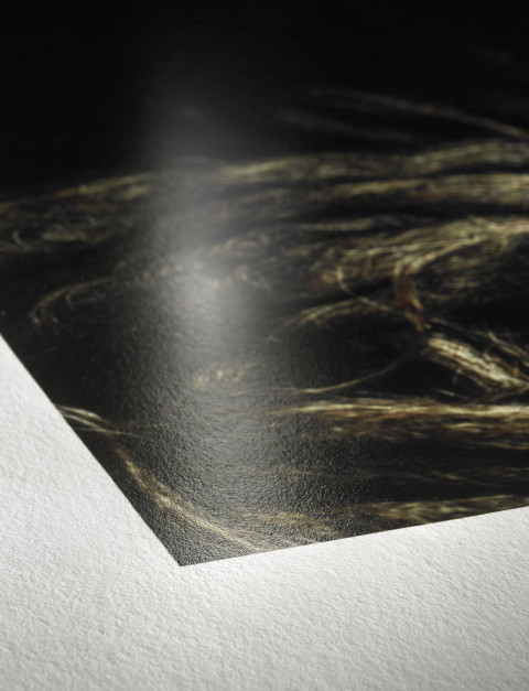 Giclee Printing | Pennybatch Gallery